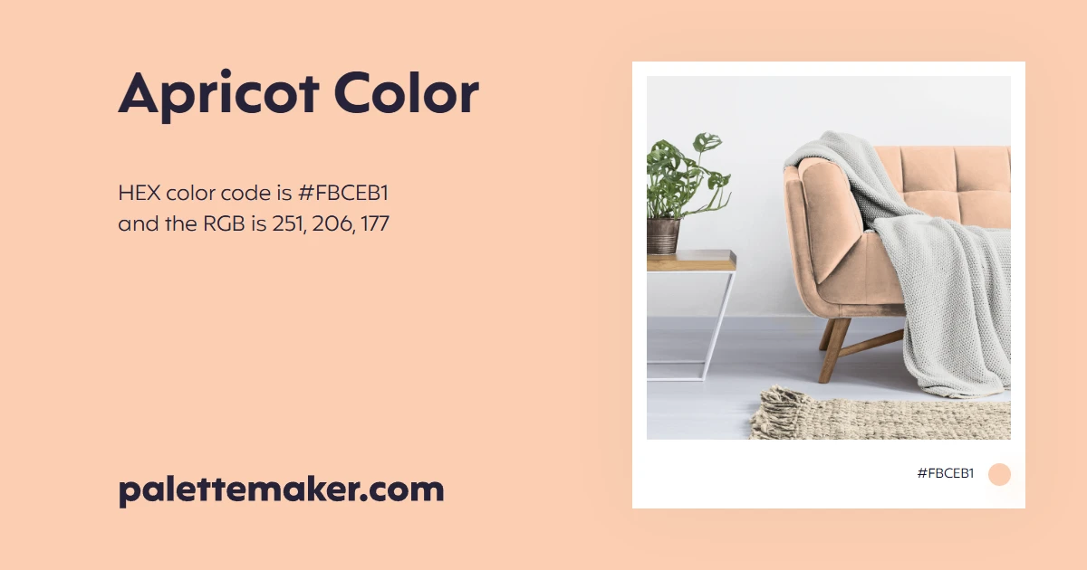 Apricot Color - HEX #FBCEB1 Meaning and Live Previews - PaletteMaker