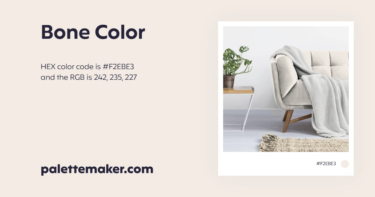 Bone Color - HEX #F2EBE3 Meaning and Live Previews - PaletteMaker