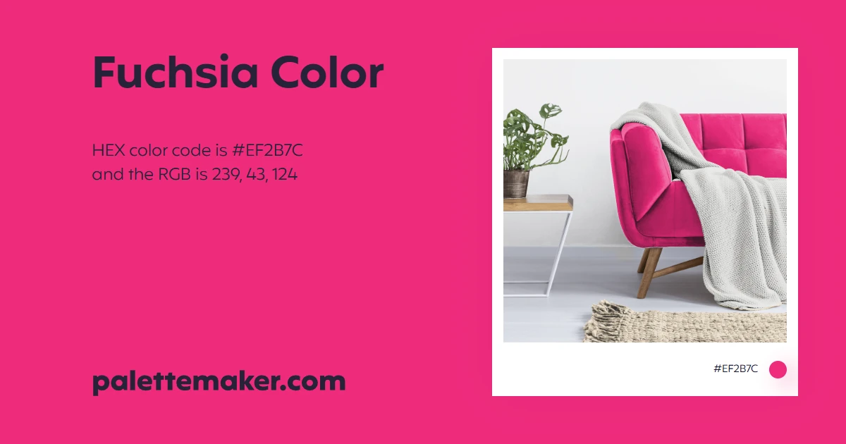 Fuchsia Color - HEX #EF2B7C Meaning and Live Previews - PaletteMaker