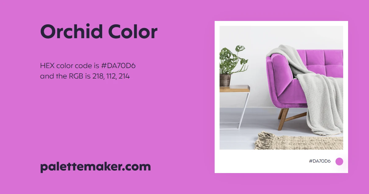 Orchid Color - HEX #DA70D6 Meaning and Live Previews - PaletteMaker