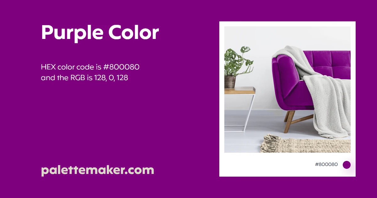 Purple Color - HEX #800080 Meaning and Live Previews - PaletteMaker
