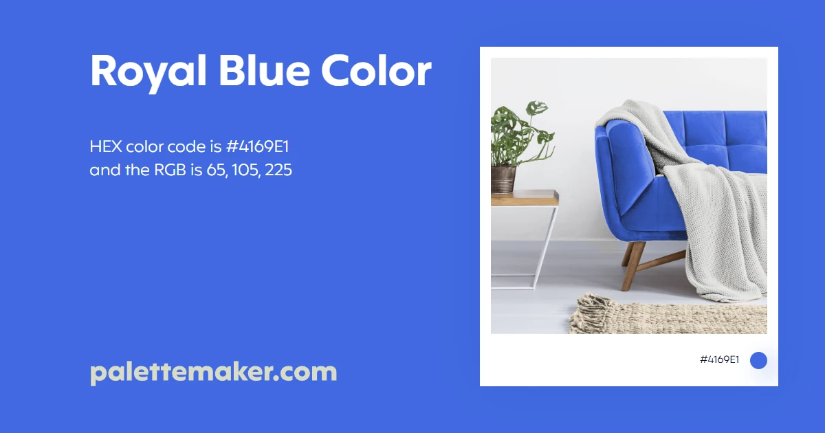 Royal Blue Color - HEX #4169E1 Meaning and Live Previews - PaletteMaker